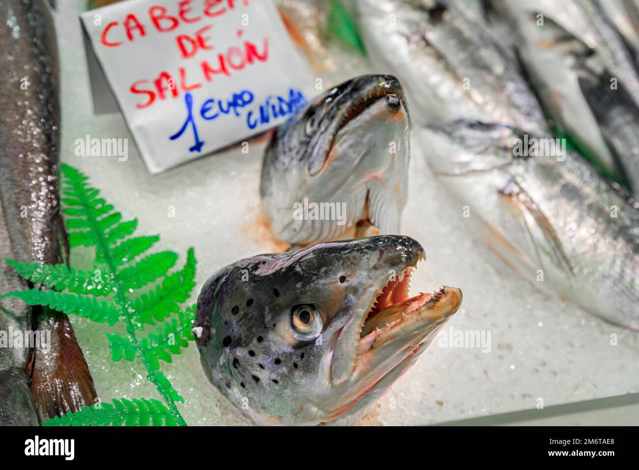 Raw salmon head on display, for sale at a local fishmonger stall at the ...