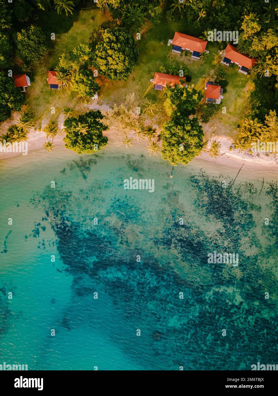 Turquoise colored ocean with palm trees from above at the Island of Koh ...
