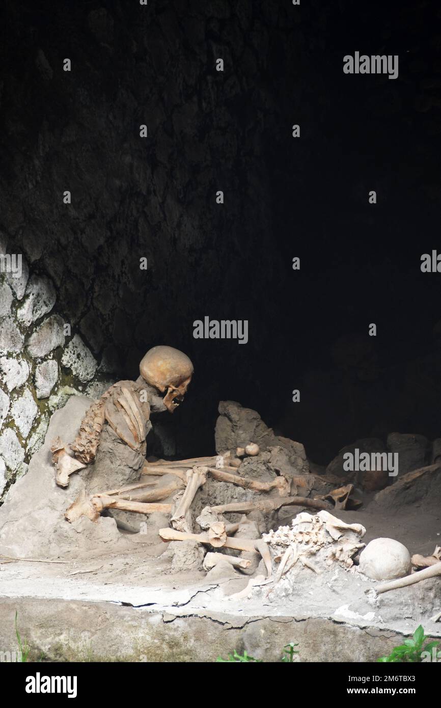 Ancient skeletons hi-res stock photography and images - Alamy