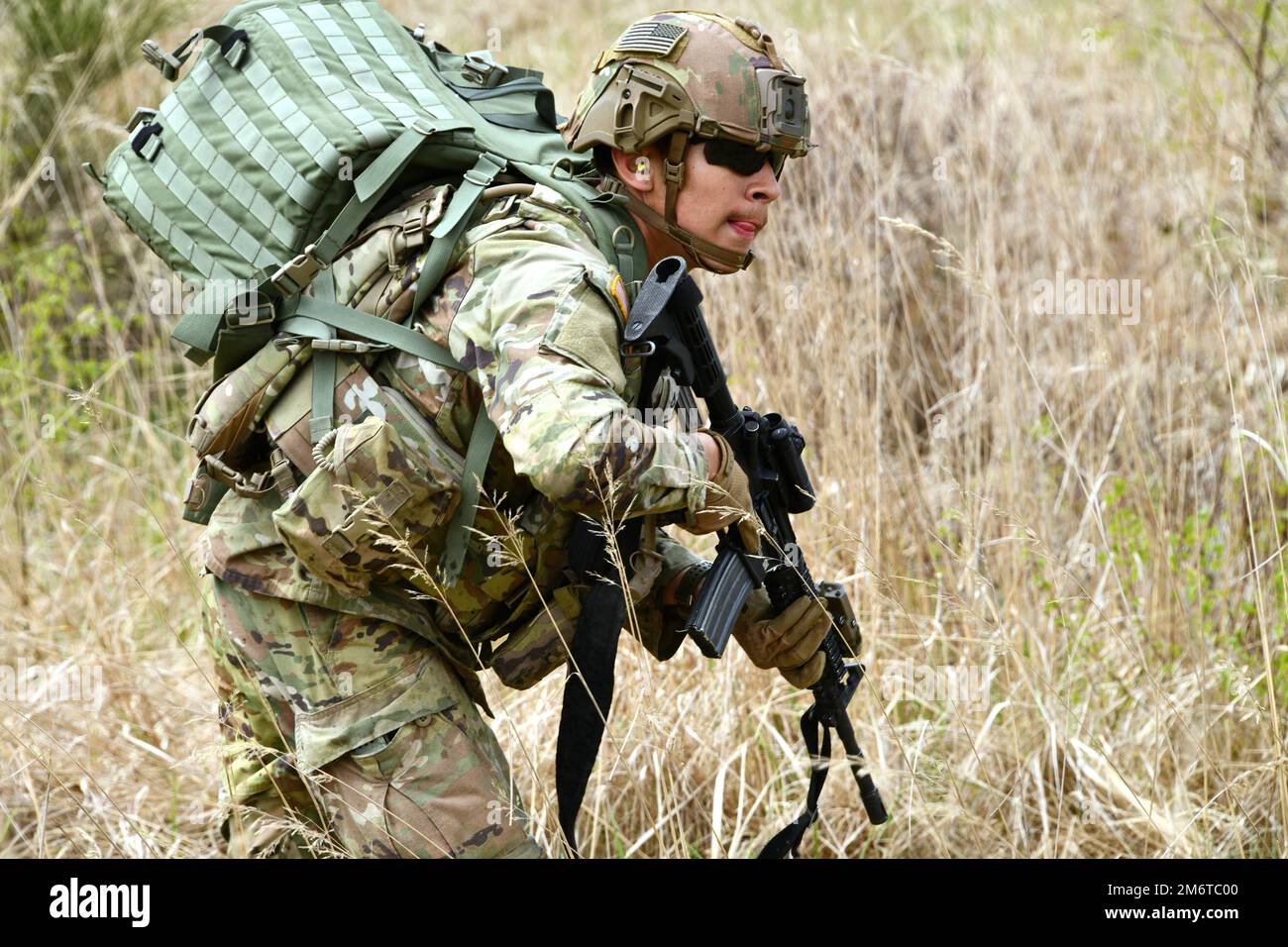 A U.S. Soldier, assigned to Bull Troop, 1st Squadron, 2nd Cavalry ...