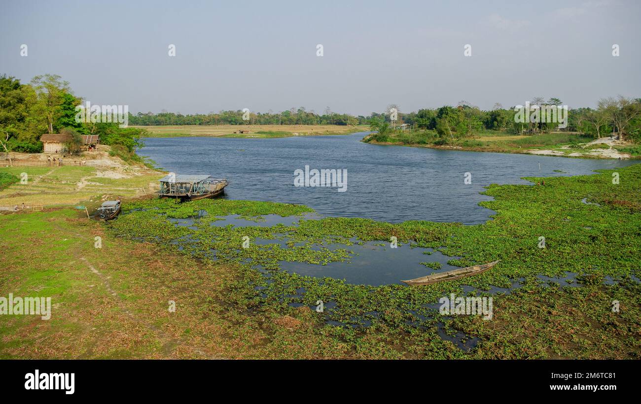 Scenic rural landscape with water and trees on Brahmaputra river island Majuli, Assam, India ...