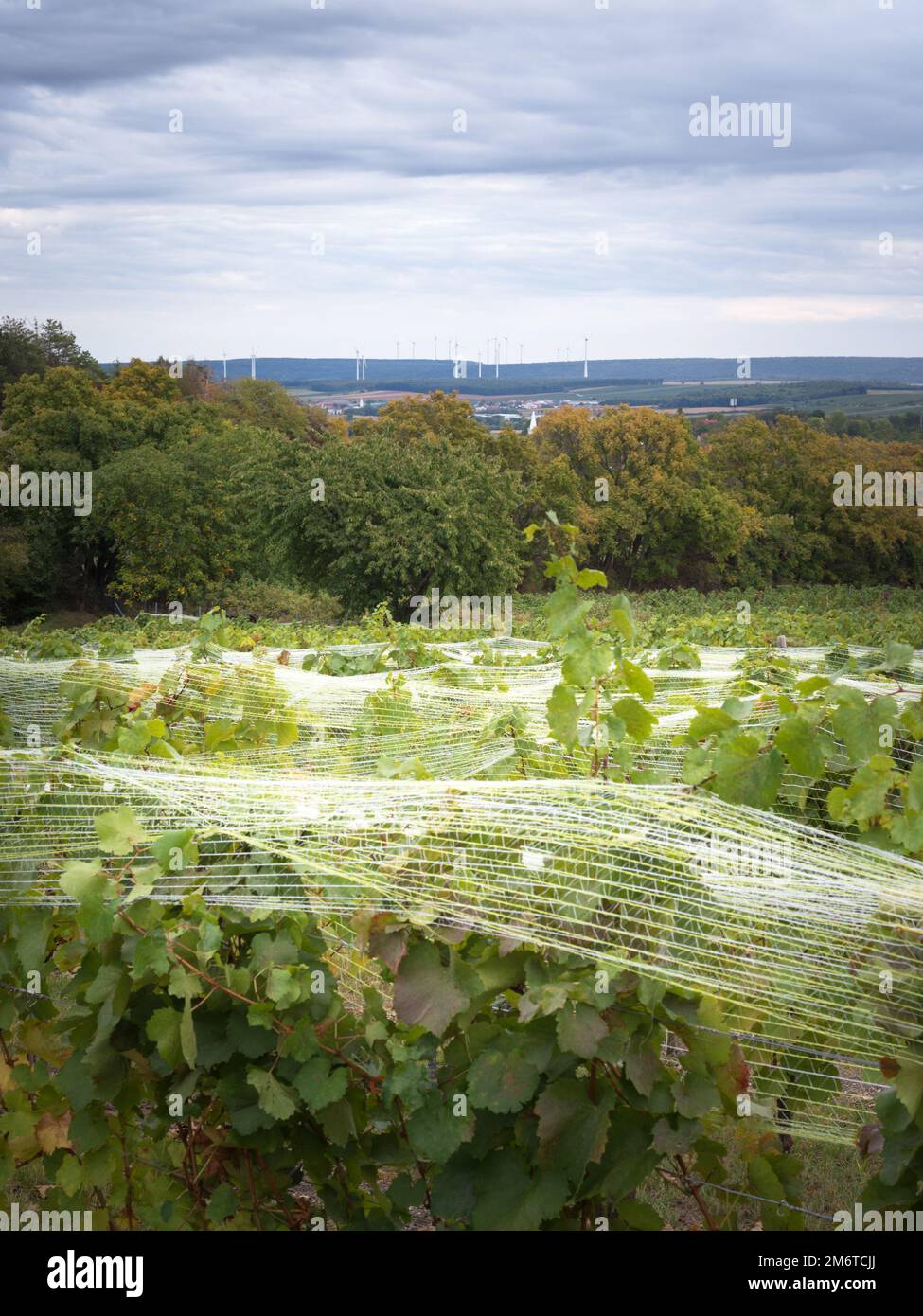 Traditional plant protection hi-res stock photography and images - Alamy