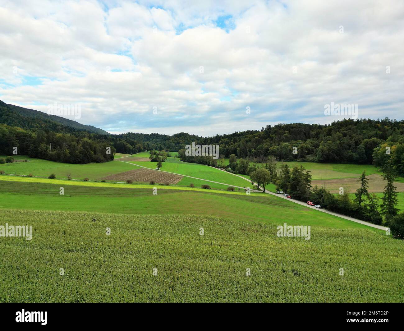 A horizontal view of a green field with many trees on the horizon under ...