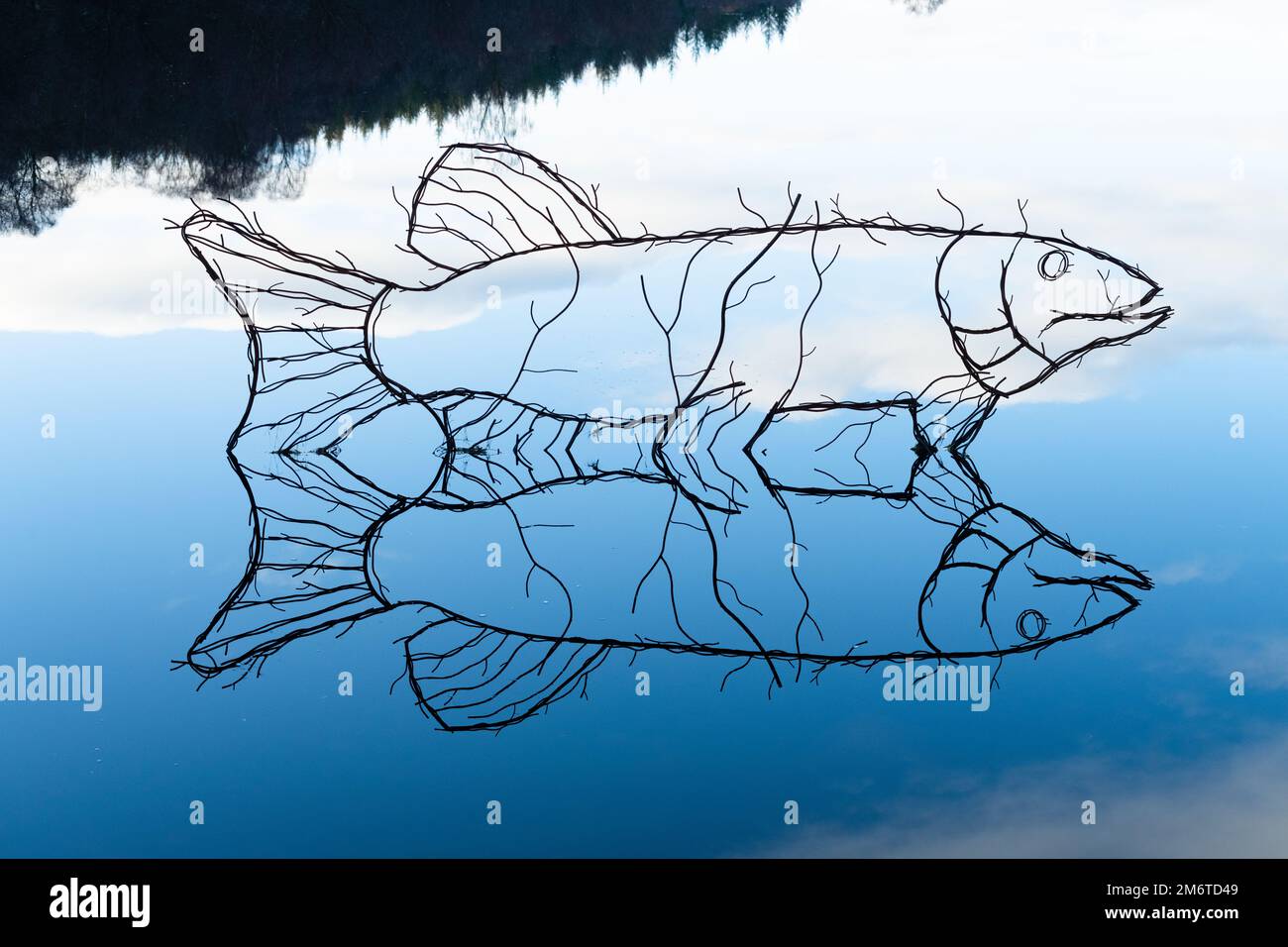 Loch Ard Sculpture Trail - Pike Sculpture by Rob Mulholland on Lochan ...