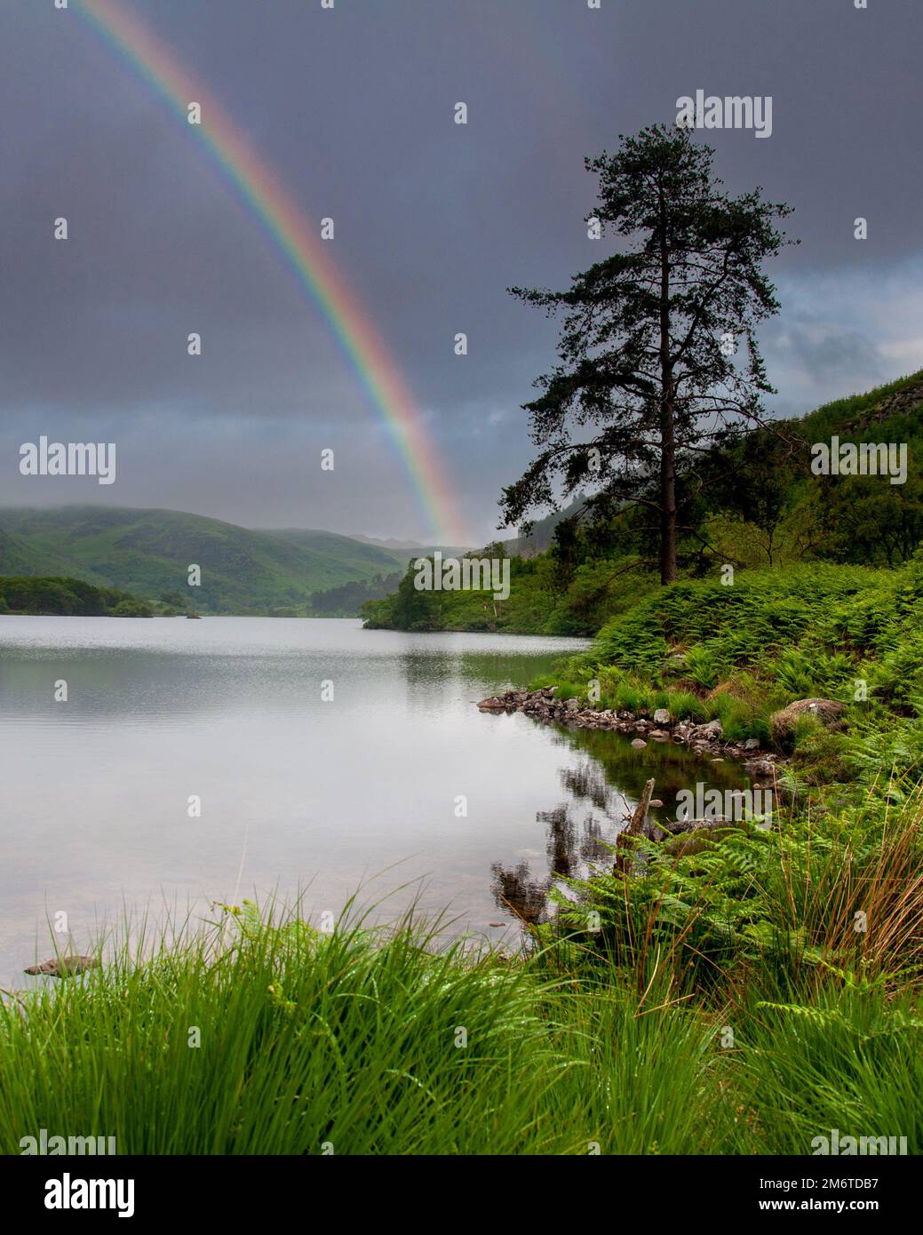 Loch Trool in the Galloway Forest in Southern Scotland on a day of ...