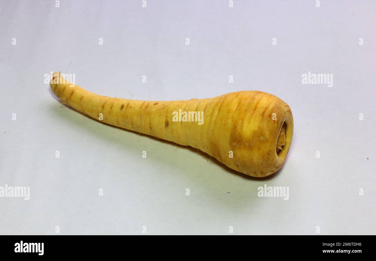 Raw or uncooked parsnip on a white background Stock Photo - Alamy