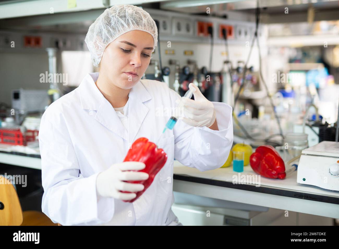 Female scientist injecting reagent from syringe into bell pepper ...