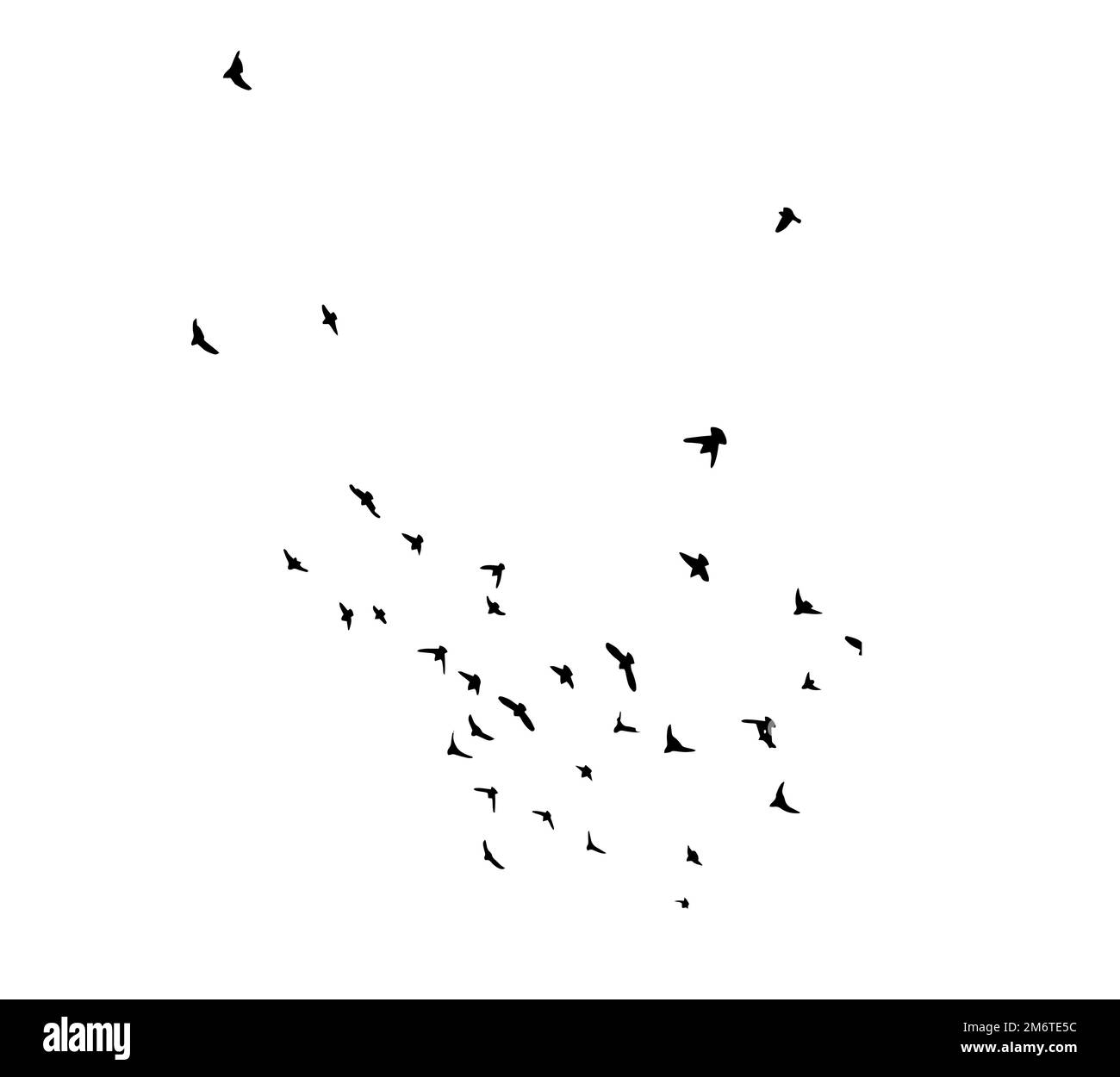 A flock of flying birds. Free birds. Vector illustration Stock Vector ...