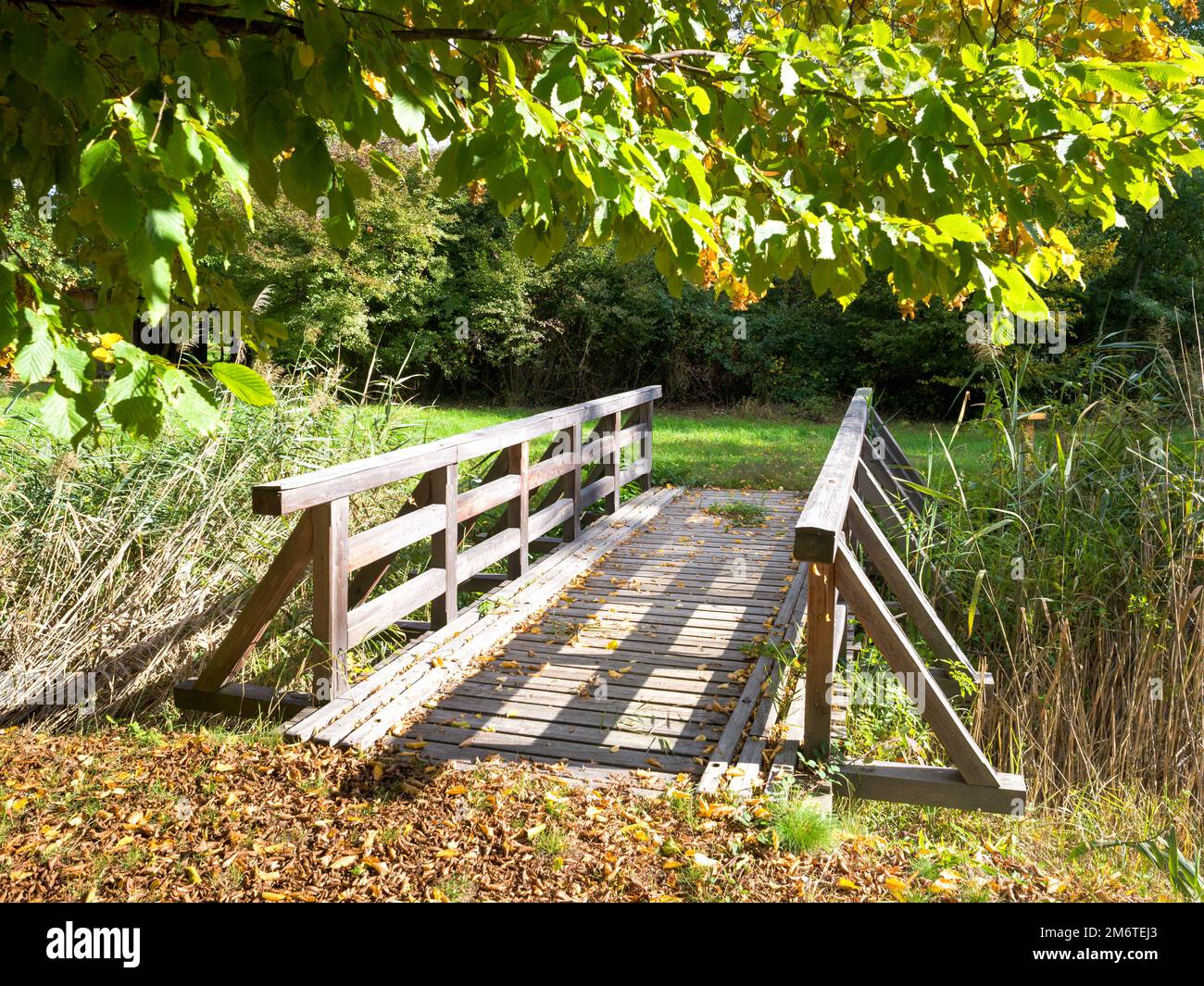 Rustic old wooden bridge Stock Photo - Alamy