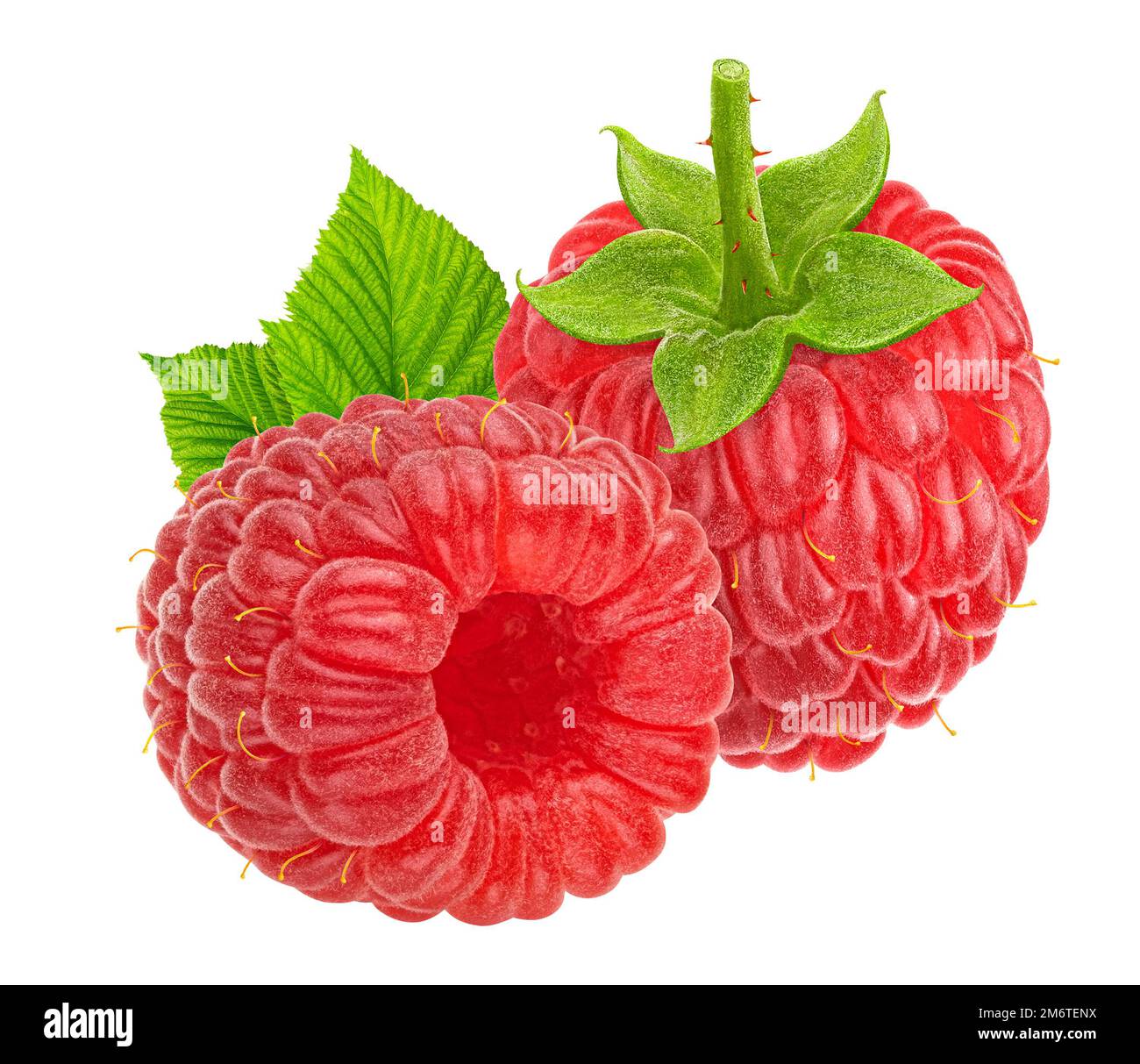 Raspberry isolated on white background, full depth of field Stock Photo ...