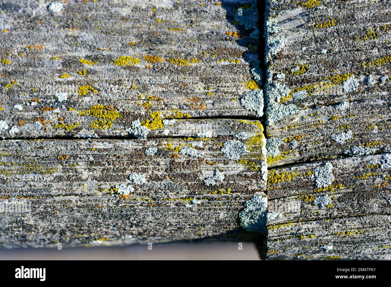 Weathered wood rustic background, grey wooden texture, background ...