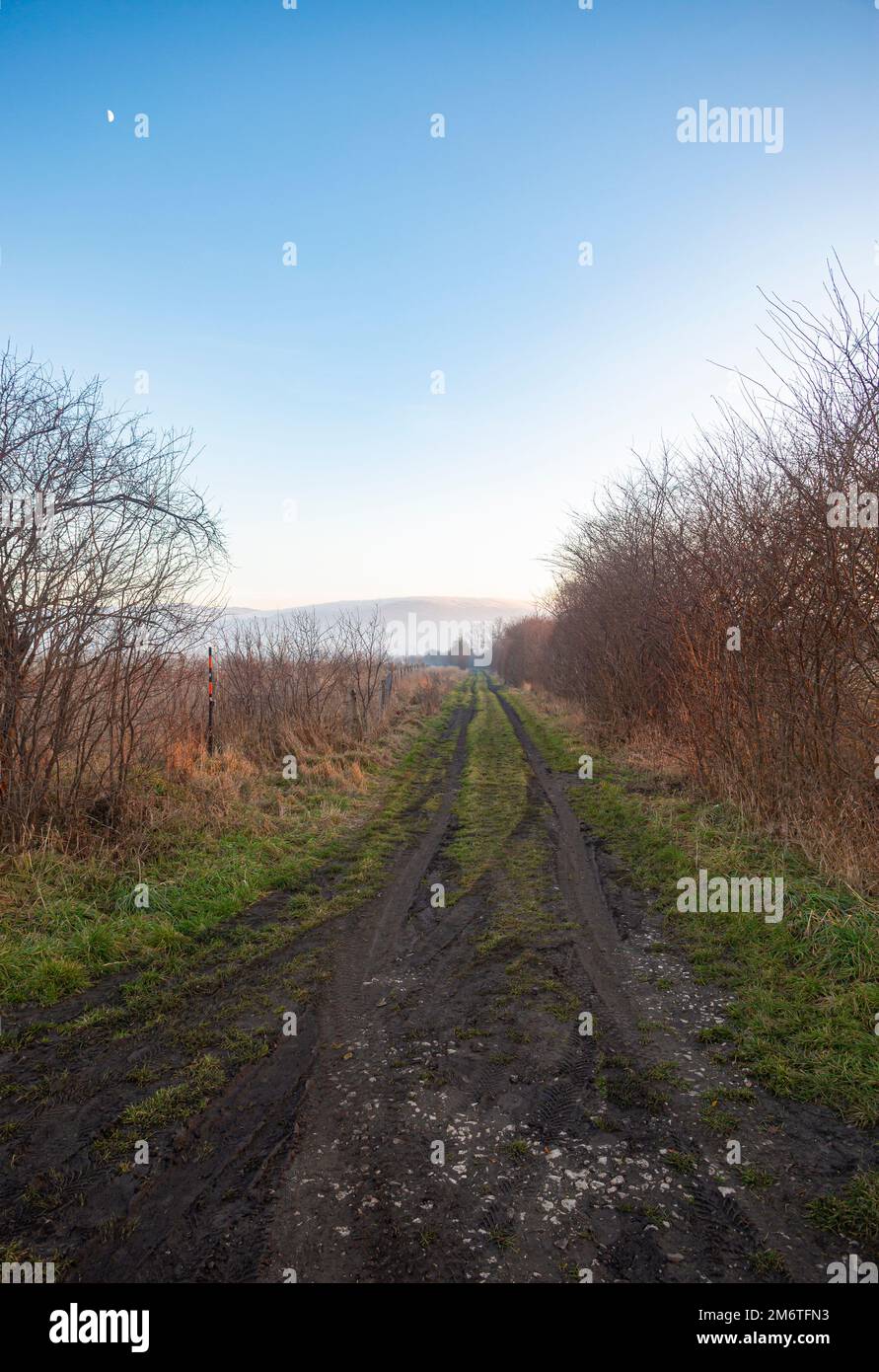 Old field road in autumn landscape Stock Photo - Alamy