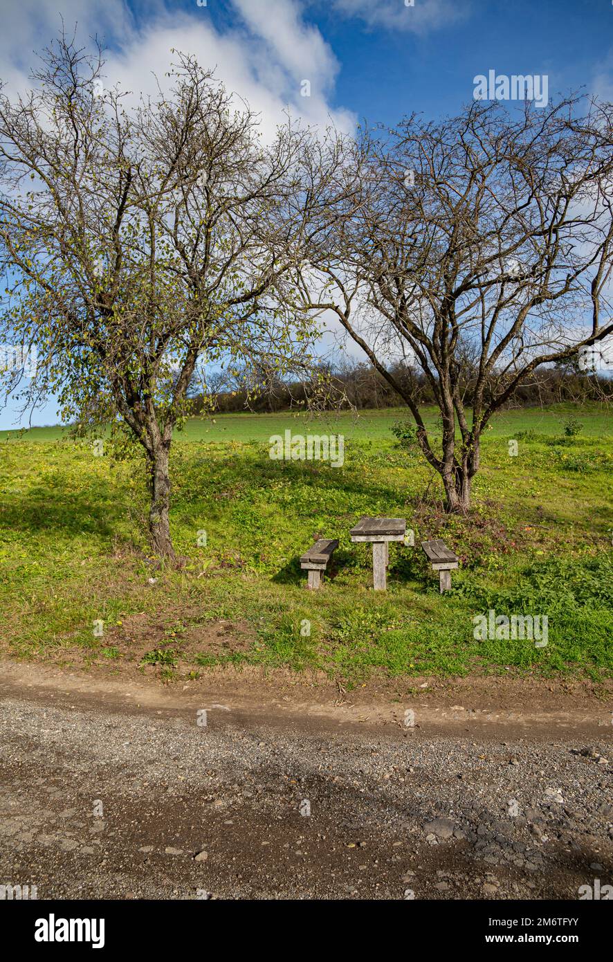 Table and bench in the landscape under the trees Stock Photo - Alamy