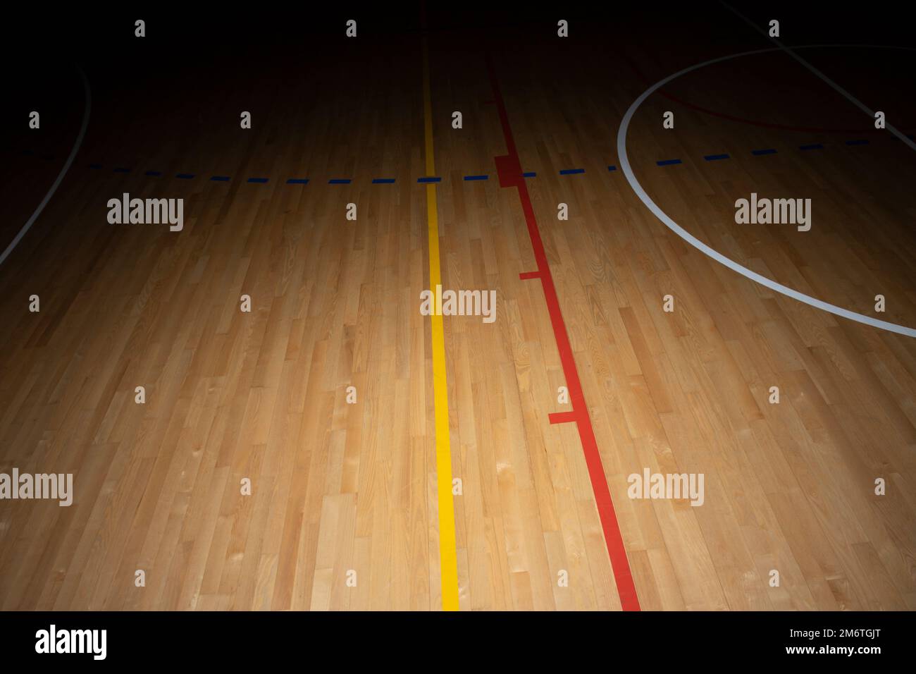 Wooden floor basketball, badminton, futsal, handball, volleyball ...