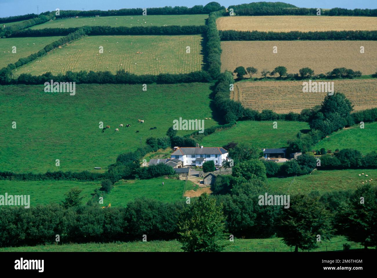 Livestock farmland patchwork countryside hi-res stock photography and ...