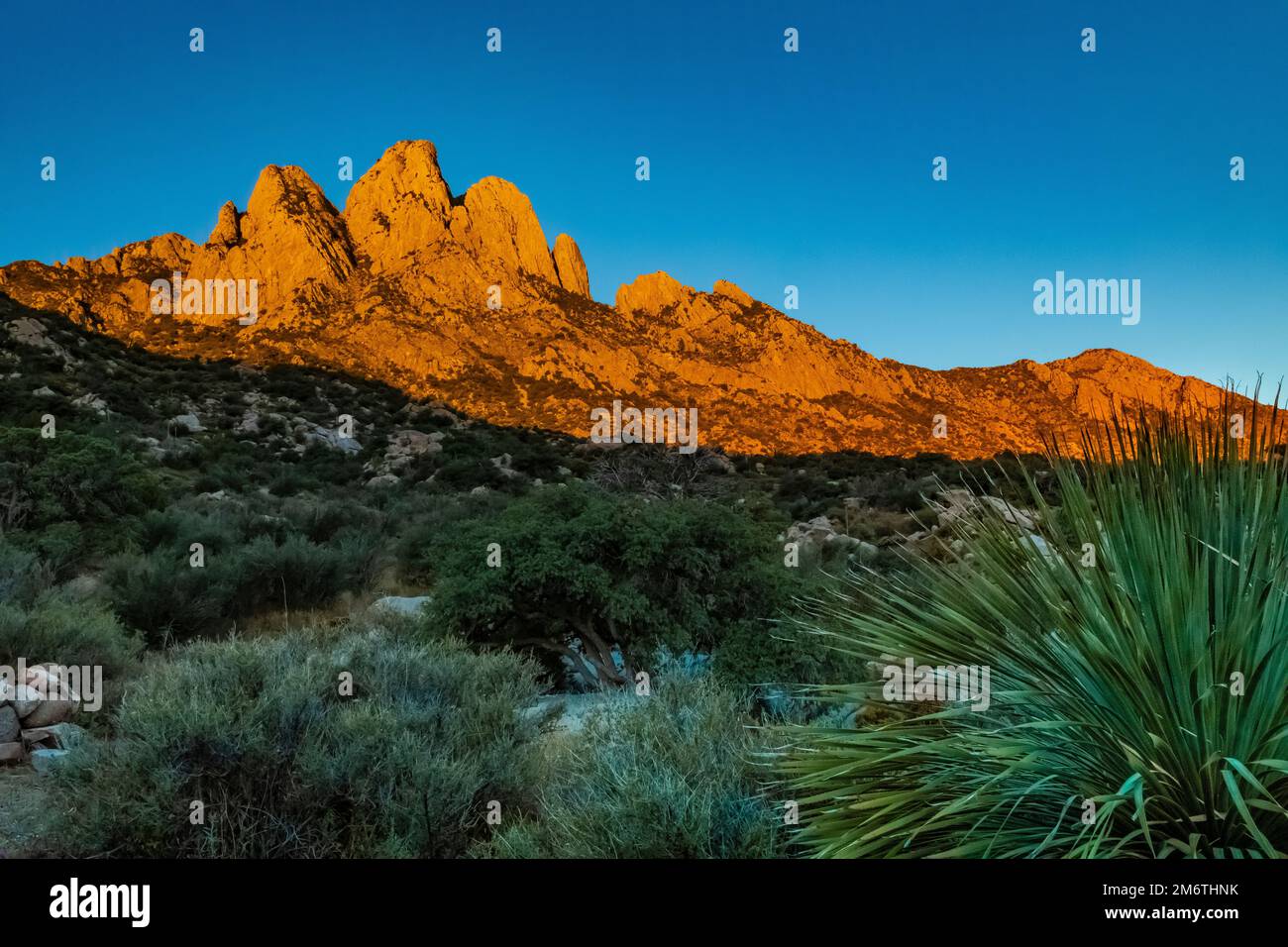 Early morning light on the needles of Organ Mountains-Desert Peaks ...
