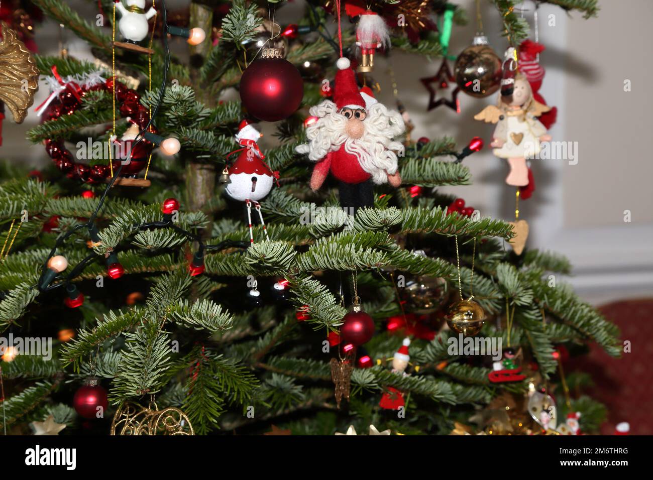 Traditional evergreen tree hi-res stock photography and images - Alamy