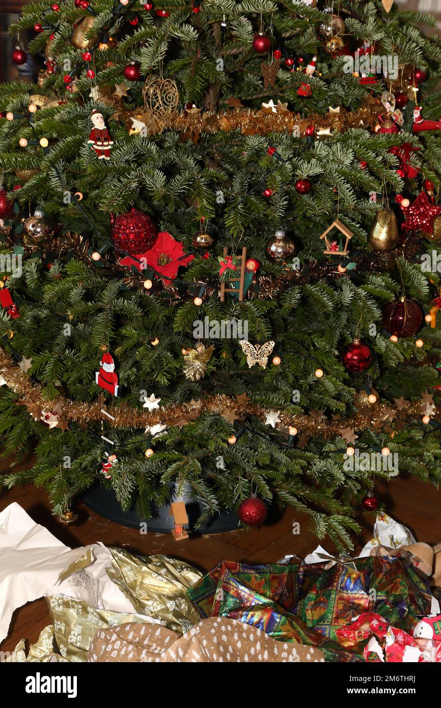 Decorations on Real Evergreen Christmas Tree with Crumpled up Wrapping ...