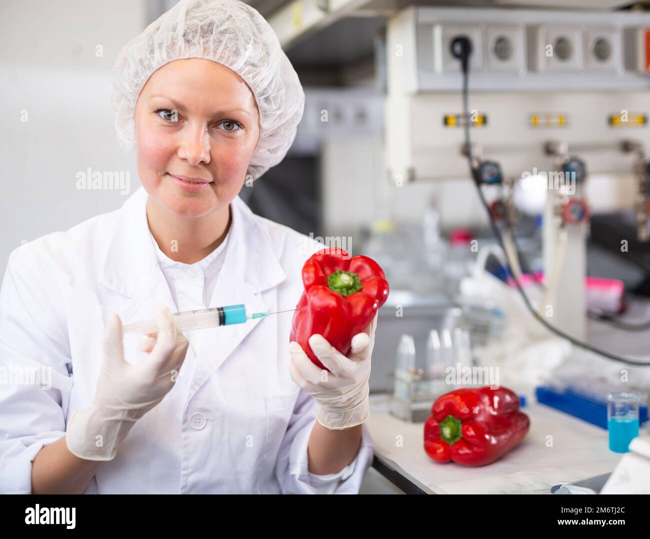Female scientist injecting reagent from syringe into bell pepper ...