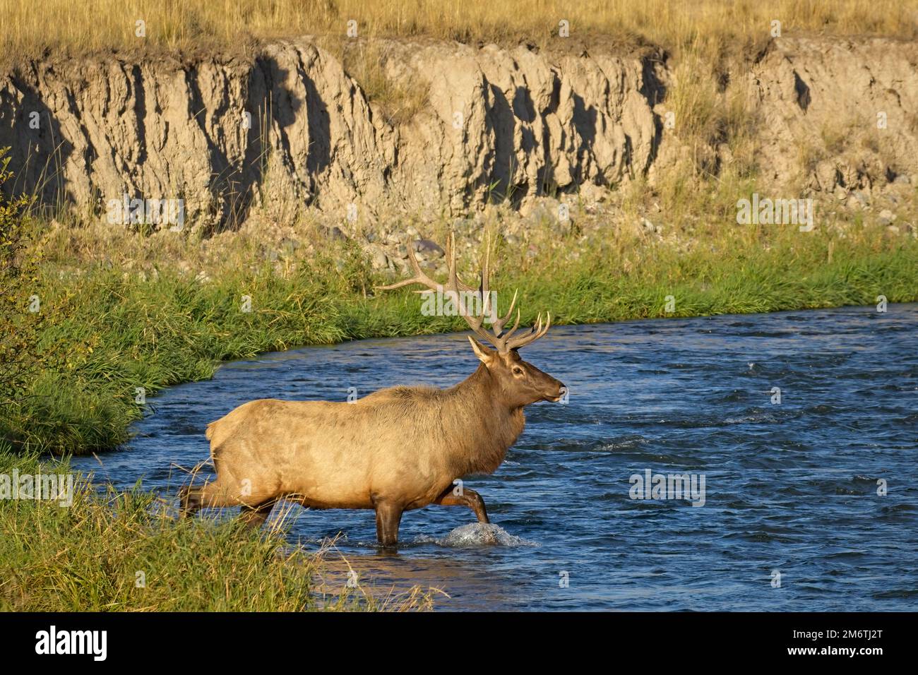 River across field hi-res stock photography and images - Alamy