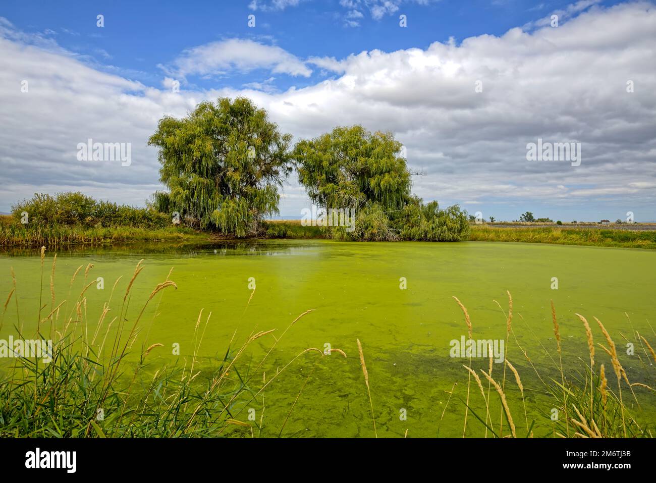 Ninepipe refuge hi-res stock photography and images - Alamy