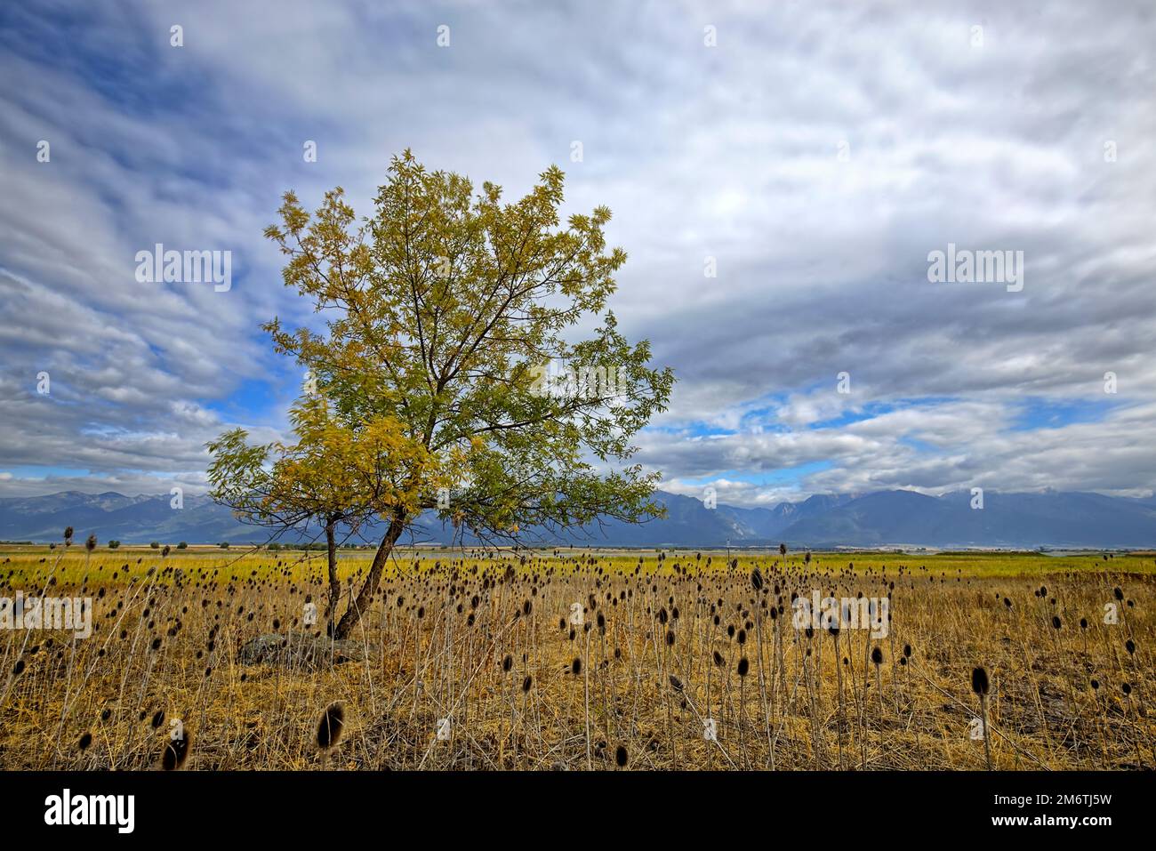 Ninepipe refuge hi-res stock photography and images - Alamy