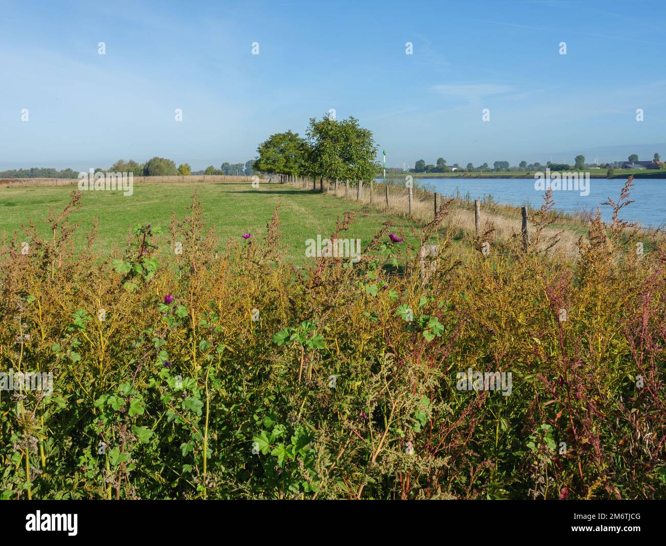 Grieth village at the rhine Stock Photo - Alamy