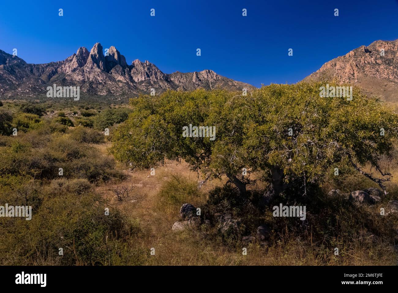 Organ Mountains-Desert Peaks National Monument, New Mexico, USA Stock ...