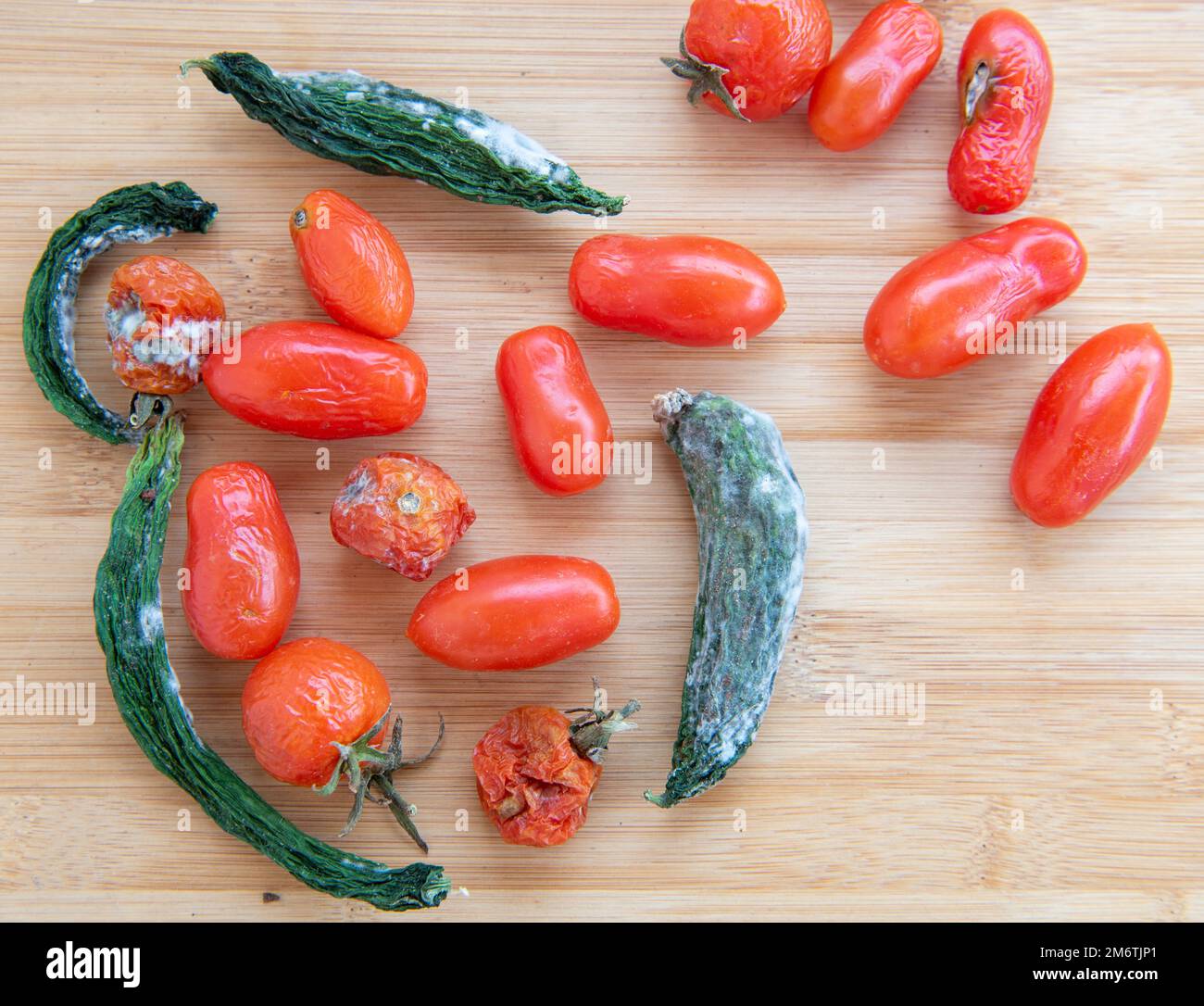Mouldy and wrinkled rotten tomatoes and cucumbers. Unhealthy, decompose ...