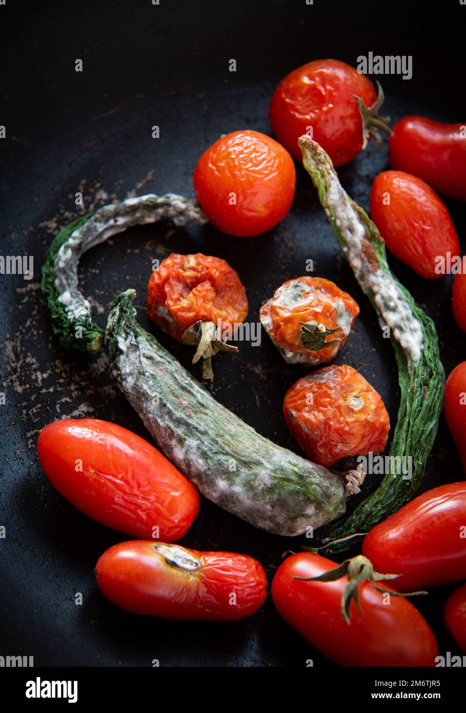 Mouldy and wrinkled rotten tomatoes and cucumbers. Unhealthy, decompose ...