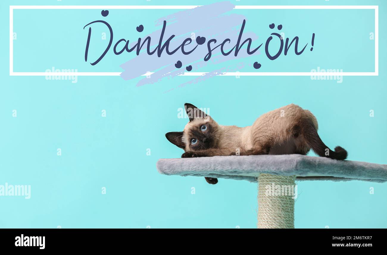 Cute Thai cat with scratching post on blue background with text DANKE ...