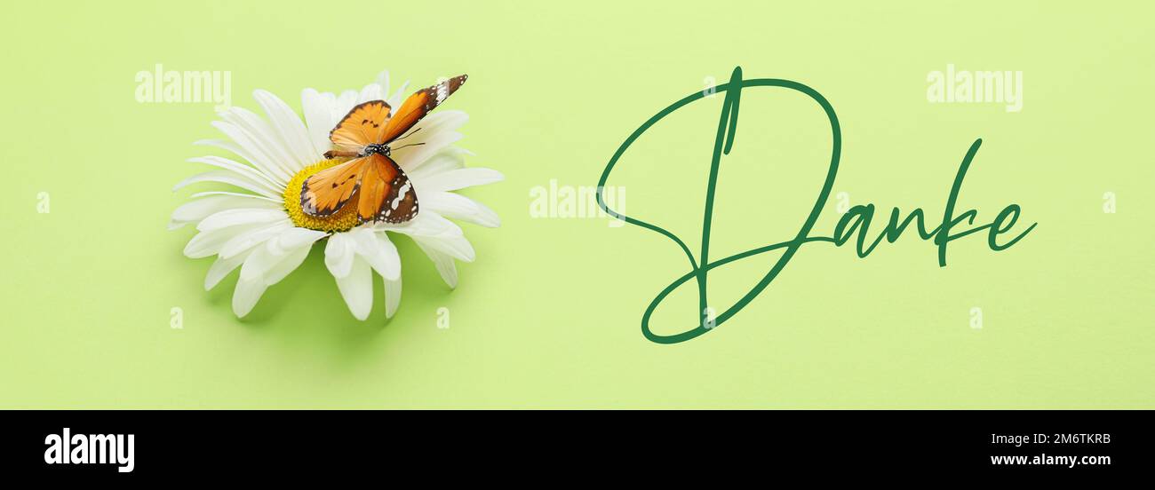 Beautiful butterfly and flower on green background with word DANKE ...