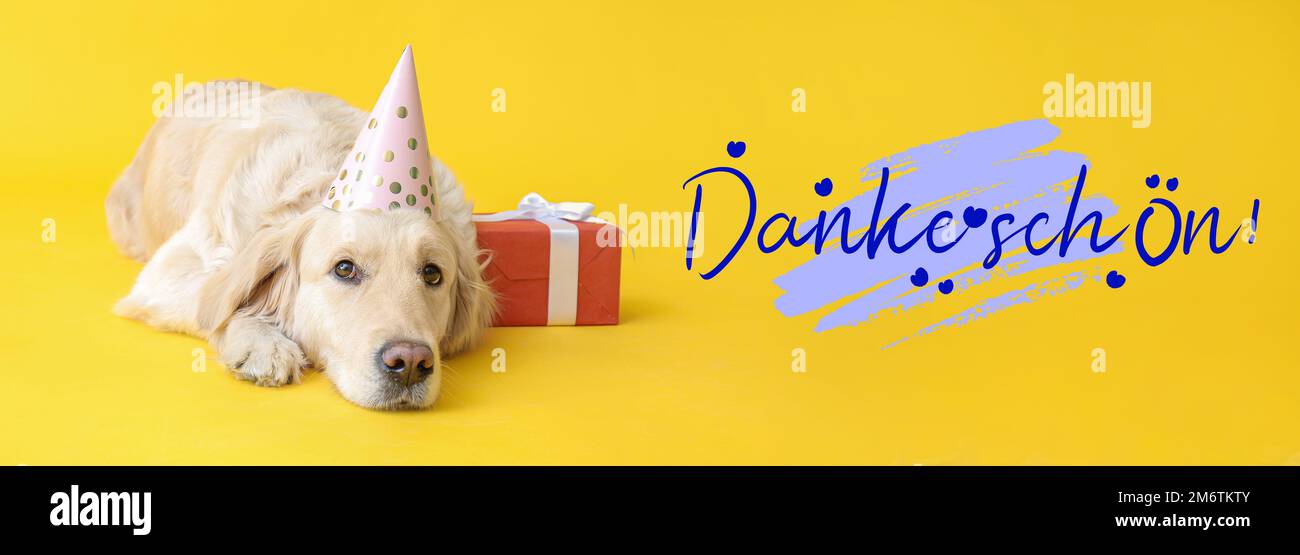 Cute dog in party hat and with gift on yellow background with text ...