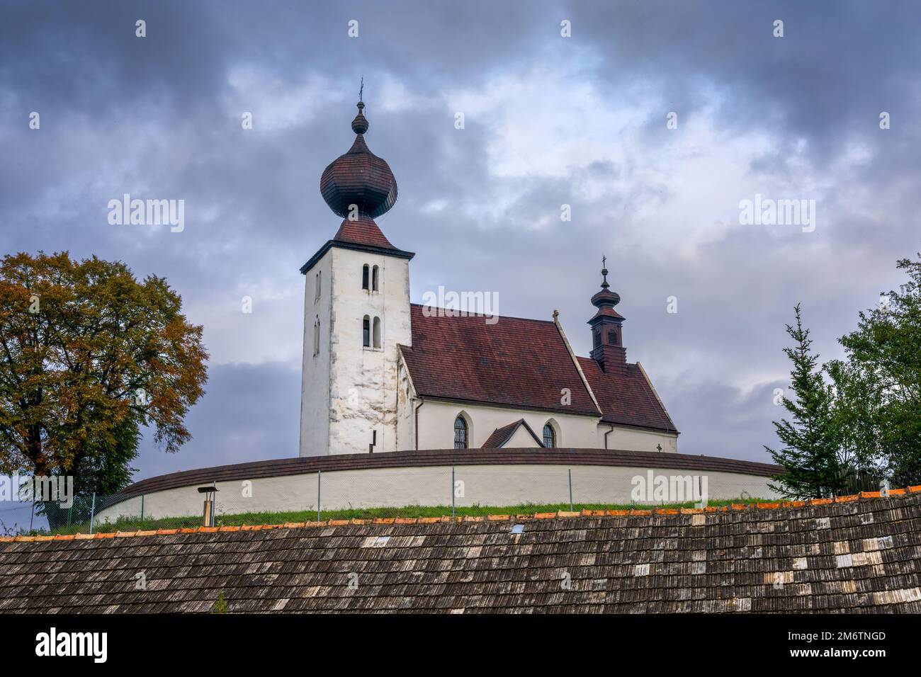 Zehra hi-res stock photography and images - Alamy