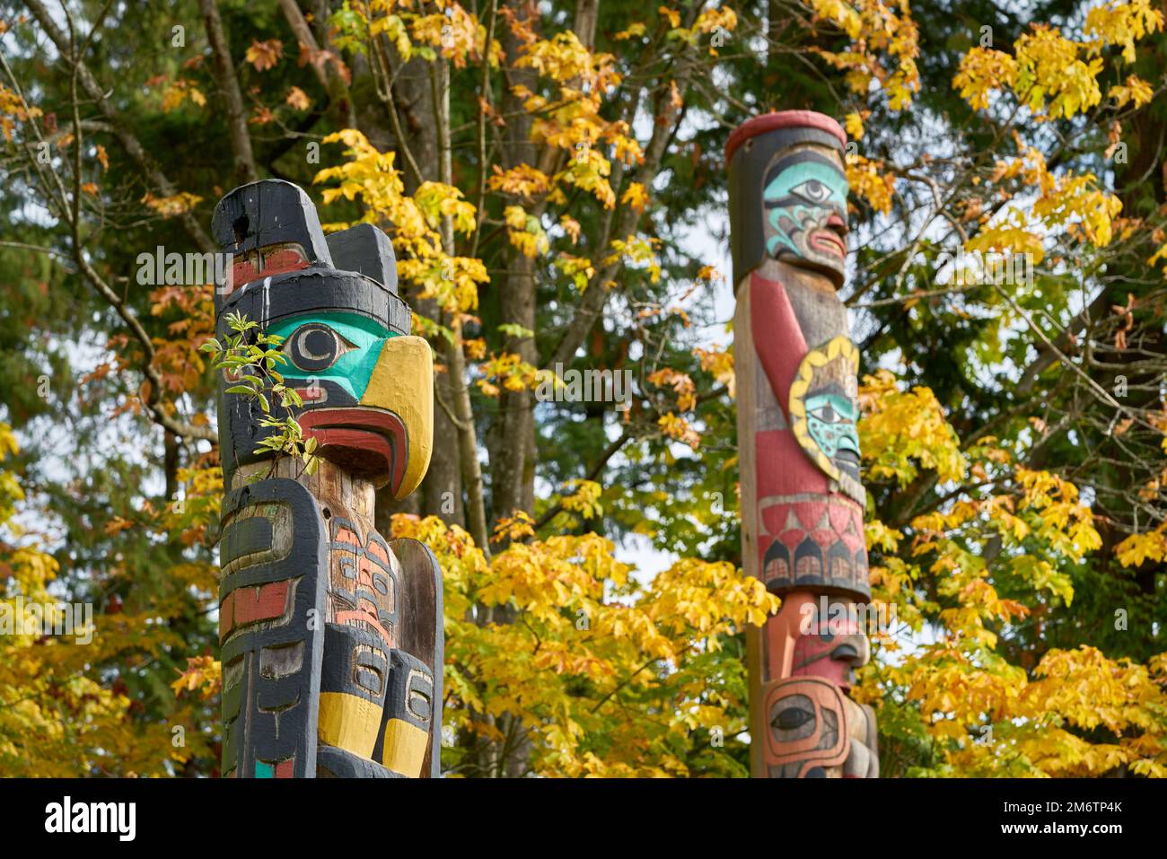 Stanley Park Totem Pole Autumn. Stanley Park totem pole with autumn ...