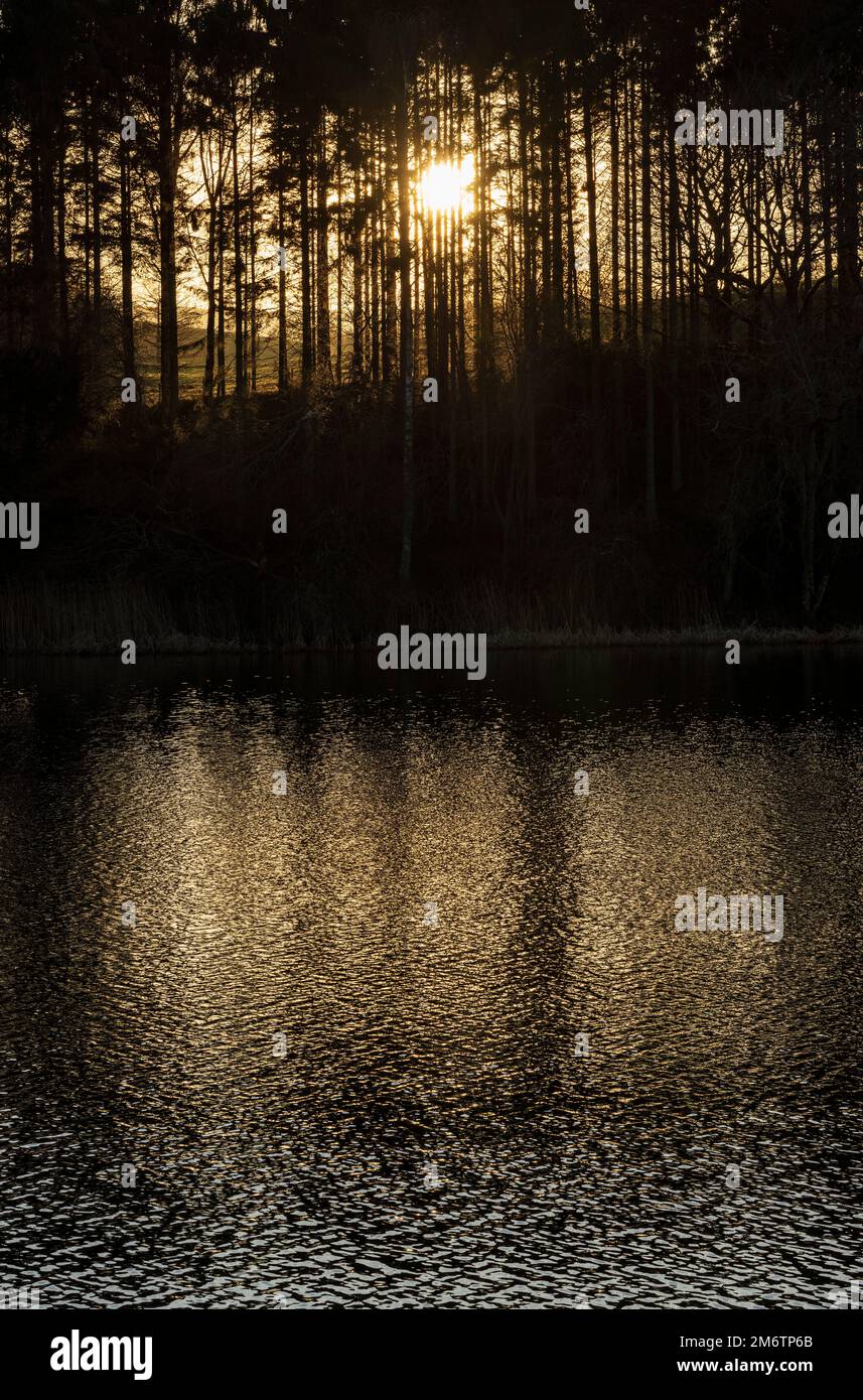 At The Haining, town mansion in Selkirk, Scotland now a country park ...