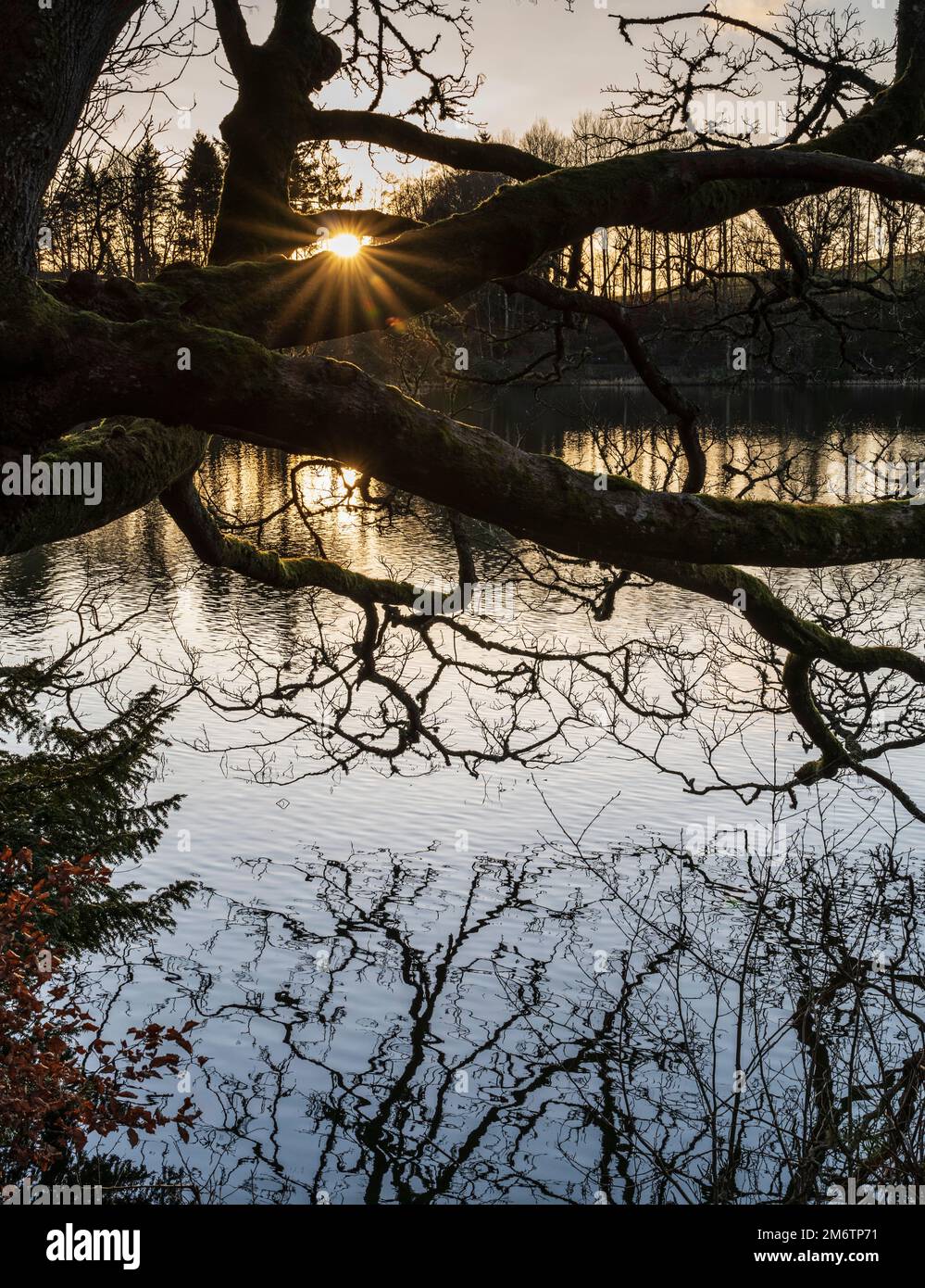 At The Haining, town mansion in Selkirk, Scotland now a country park ...
