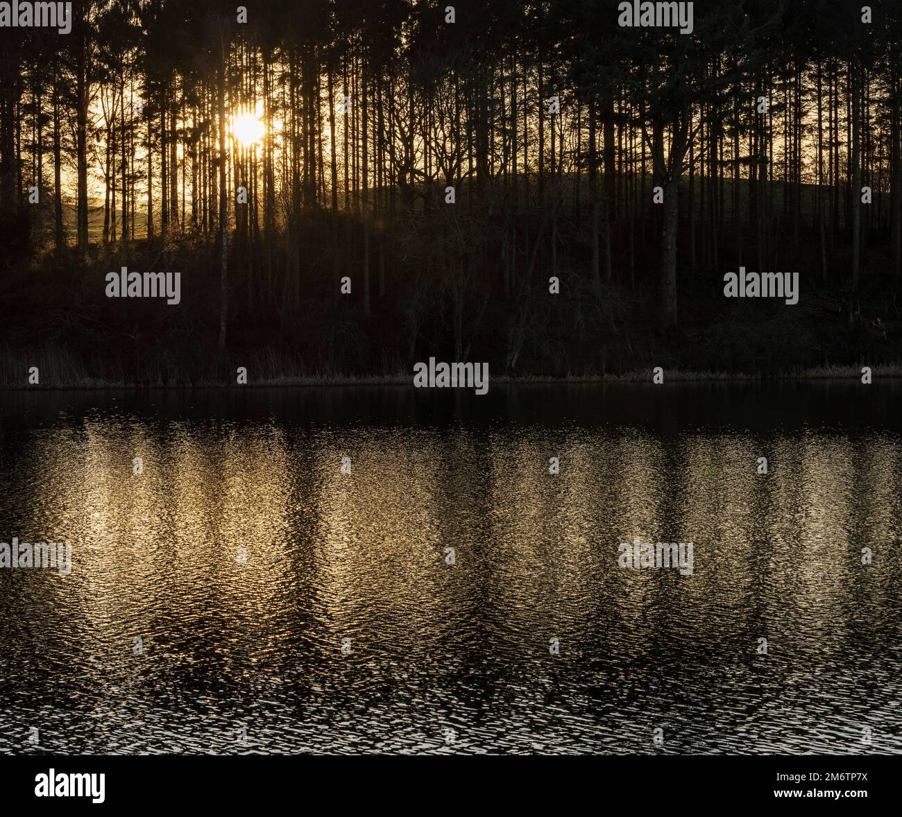 At The Haining, town mansion in Selkirk, Scotland now a country park ...