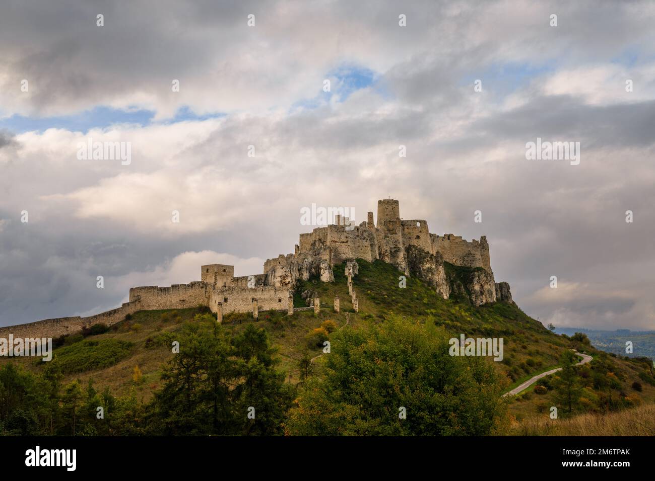 Zehra hi-res stock photography and images - Alamy