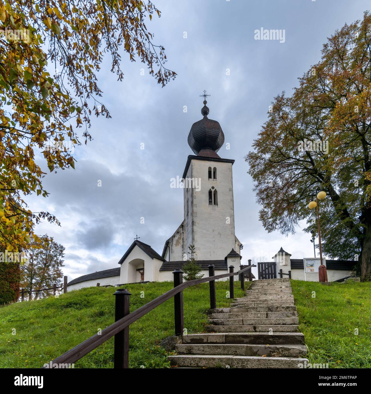 Zehra hi-res stock photography and images - Alamy