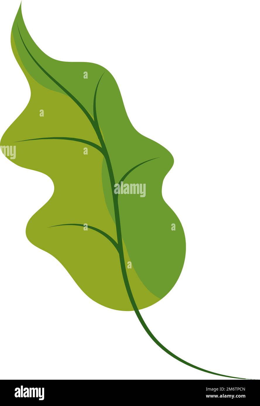 leaf vector design Stock Vector Image & Art - Alamy