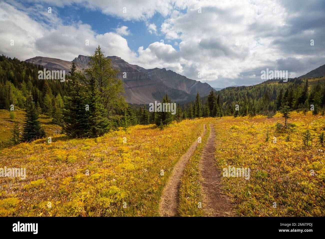 Autumn in Canada Stock Photo - Alamy