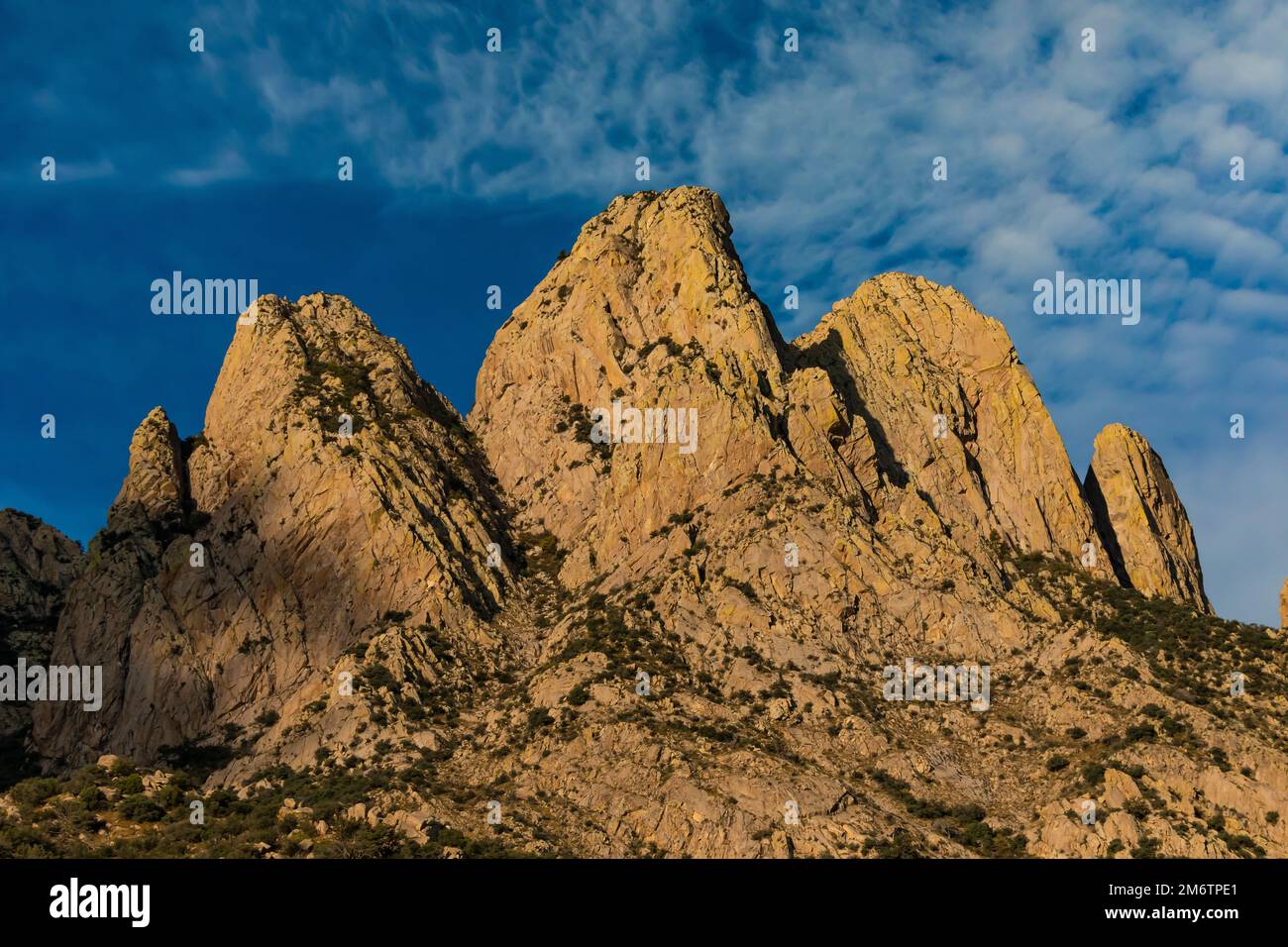 Rabbit ears massif hi-res stock photography and images - Alamy