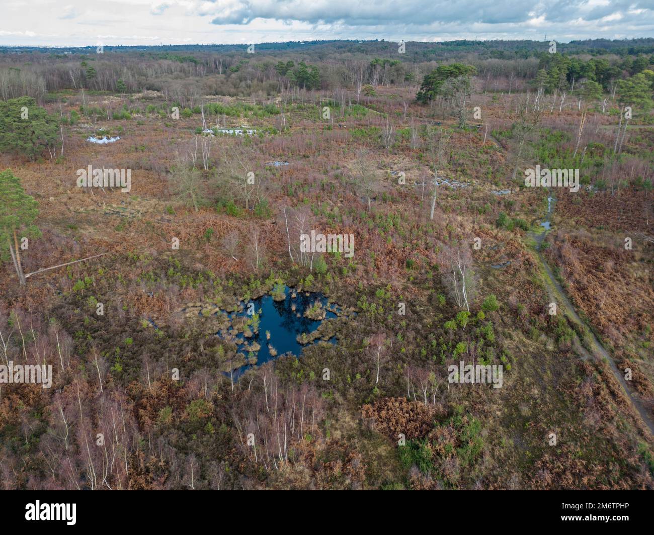 Aerial view of Wisley Common, Woking, Surrey, UK Stock Photo - Alamy