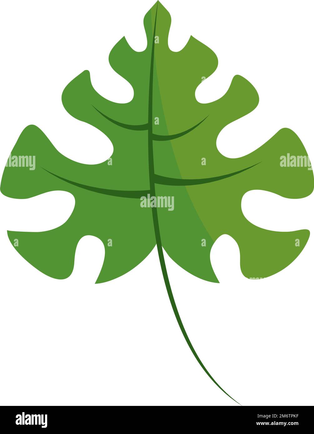 leaf mostera icon Stock Vector Image & Art - Alamy