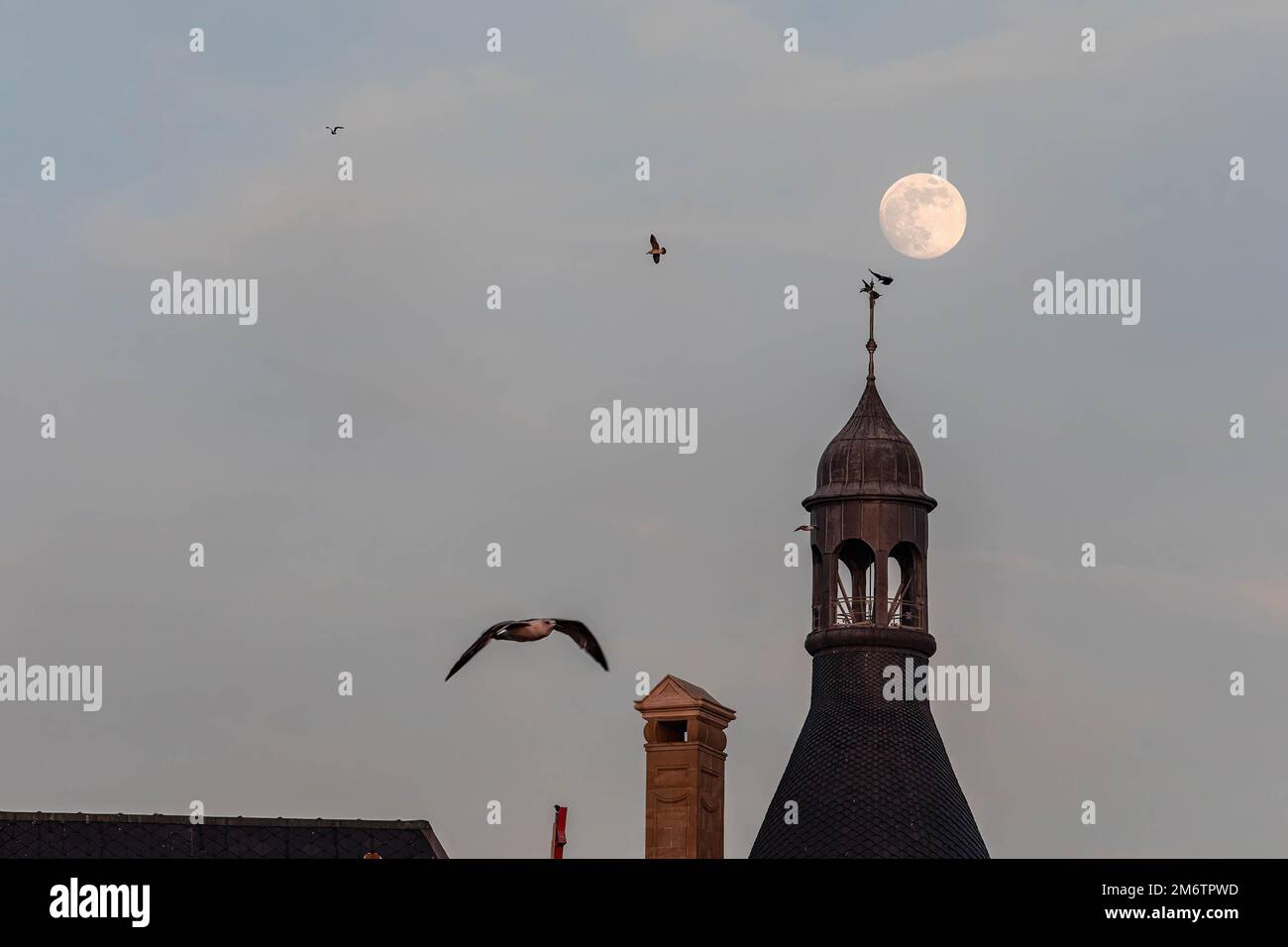 Istanbul, Turkey. 05th Jan, 2023. Birds flying around the dome of ...