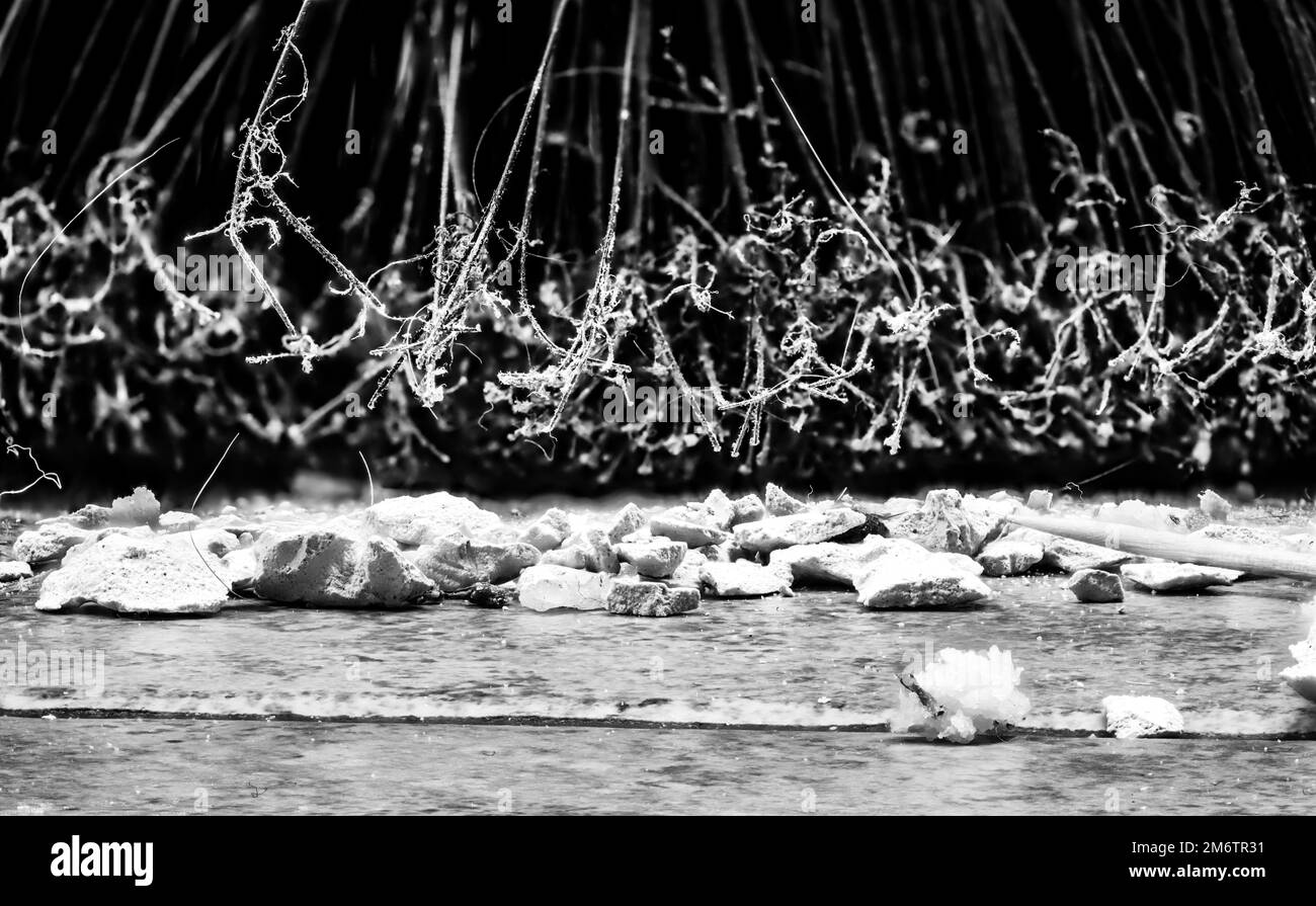 Ground level detail view Black and White Stock Photos & Images - Alamy
