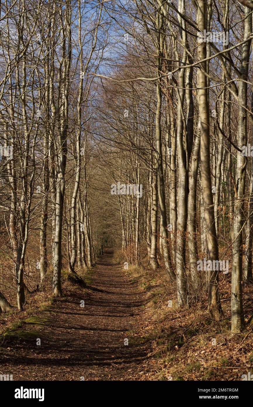 Alec mansion hi-res stock photography and images - Alamy