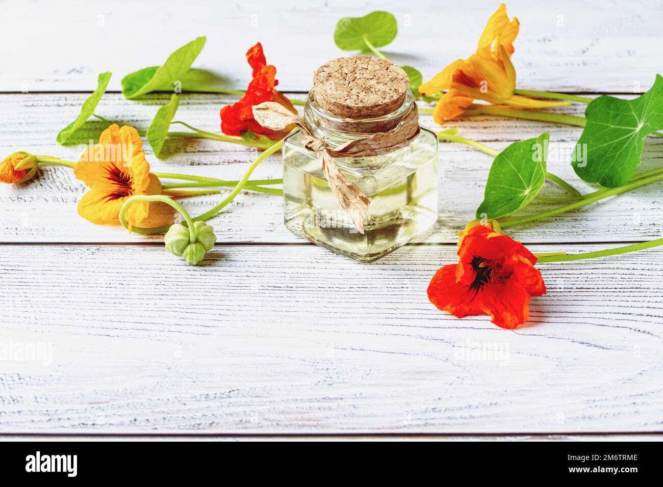 Nasturtium Herb Oil of flowers leaves seeds, nasturtium extract in ...
