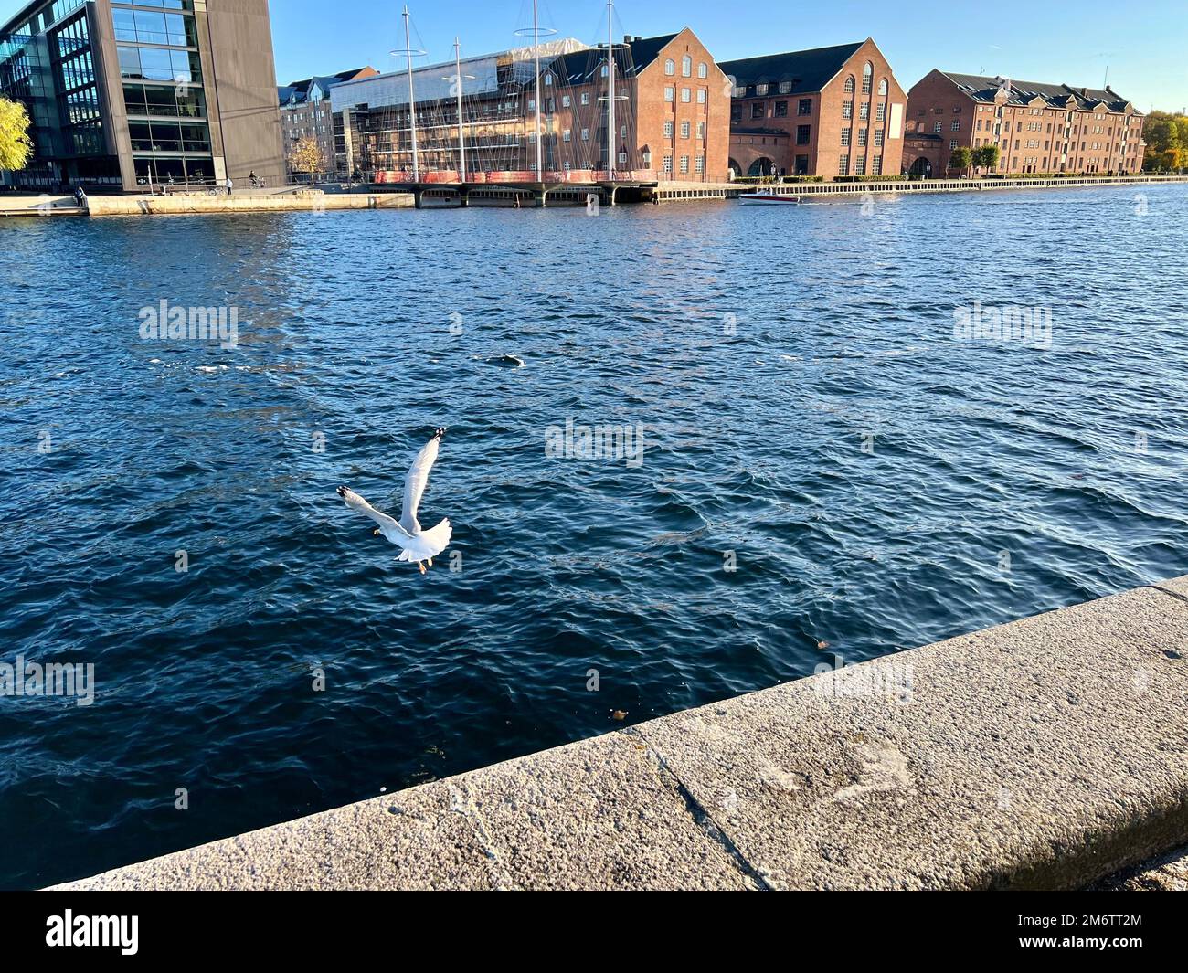 Modern part of Copenhagen inner harbor, with Circle Bridge Stock Photo ...